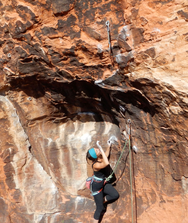 Ready to Switch up Your Life?: An Uncaged Interview with Rebecca Tracey ...